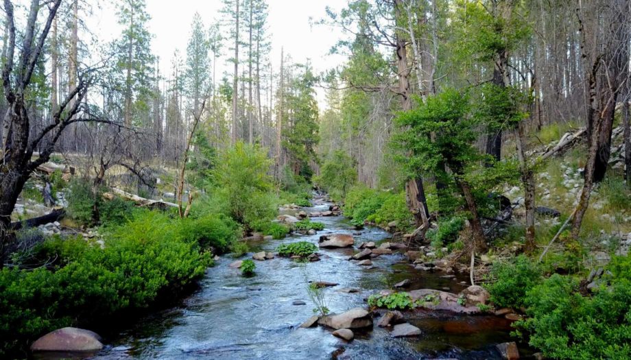 Location - Camp Tawonga