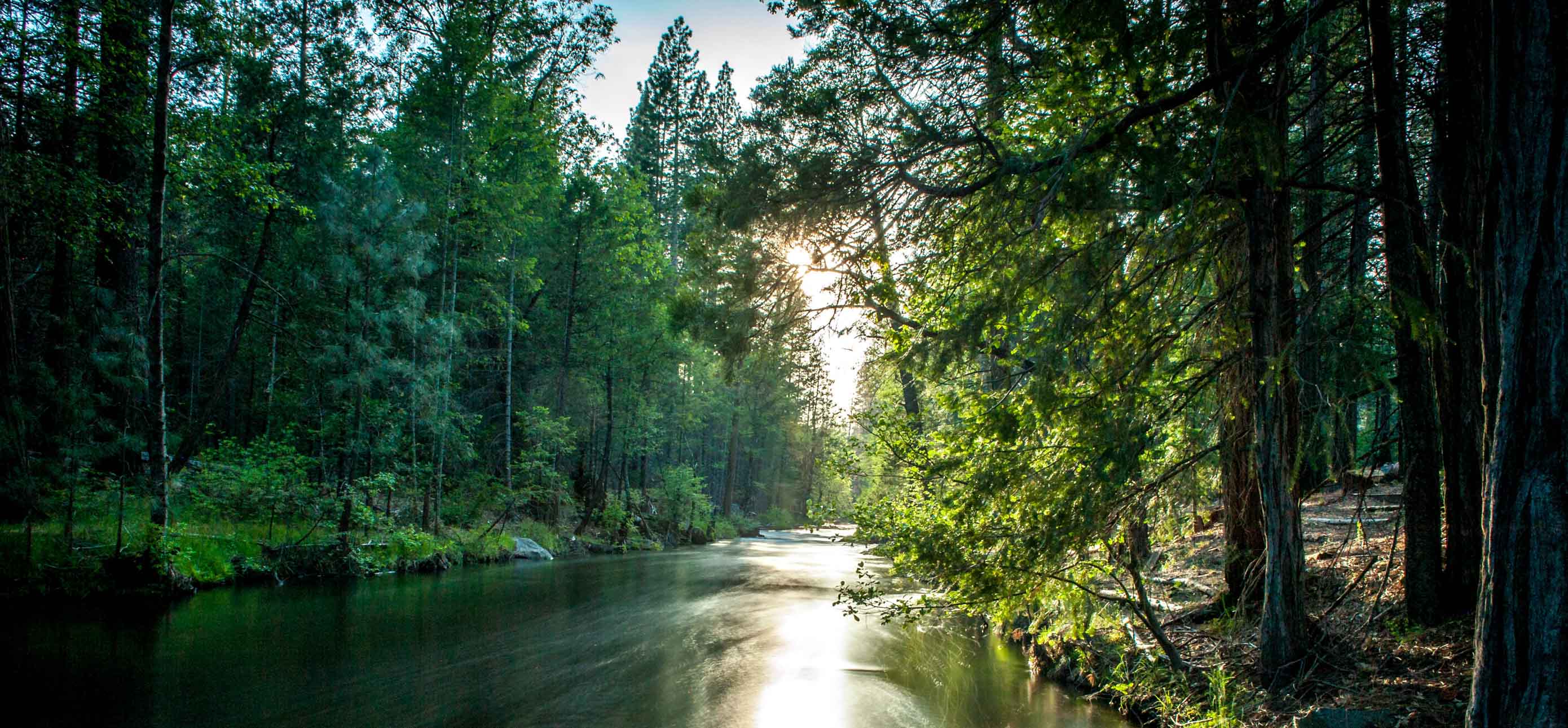 Camp Tawonga - Jewish Summer Camp & Programs in Northern California