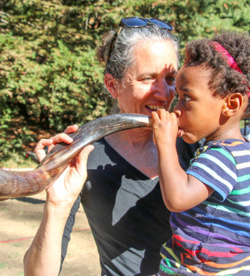 Camp Tawonga - Jewish Summer Camp & Programs in Northern California