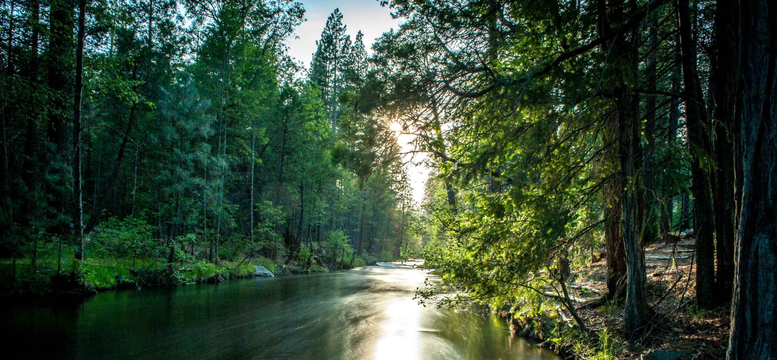Tawonga at 100 - Camp Tawonga